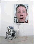 Tim Hawkinson by Lawrence Rinder | Goodreads