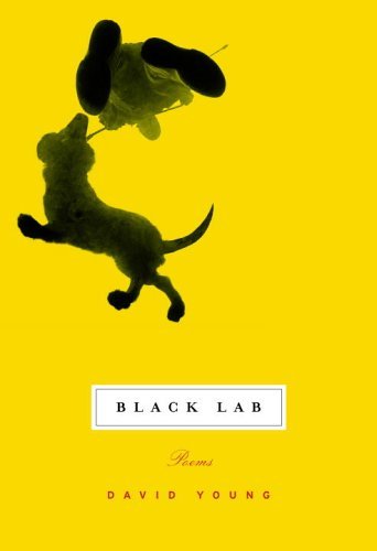 Black Lab by David Young | Goodreads