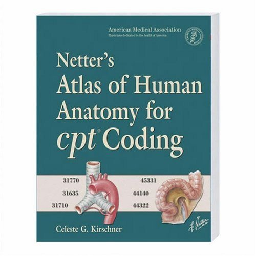 Netter's Atlas of Human Anatomy for CPT Coding by AMA American Medical ...