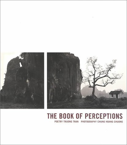 The Book of Perceptions by Truong Tran | Goodreads