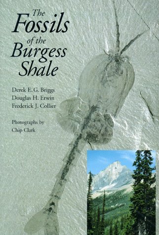 The Fossils of the Burgess Shale by Derek E.G. Briggs | Goodreads