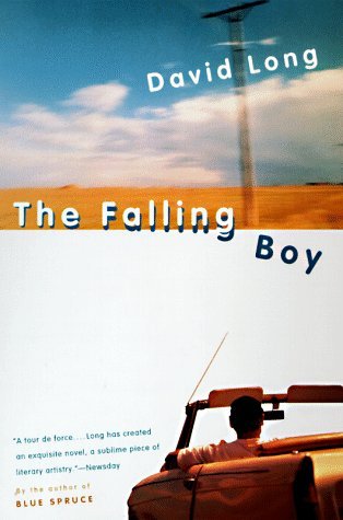 The Falling Boy by David Long | Goodreads