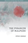 The Pyramids of Malpighi by Steve Gehrke | Goodreads