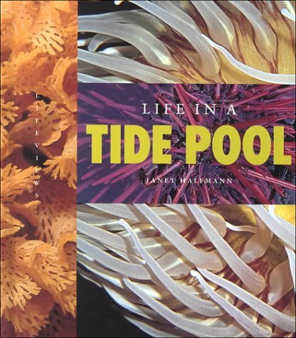 Life in a Tide Pool (Lifeviews) by Janet Halfmann | Goodreads