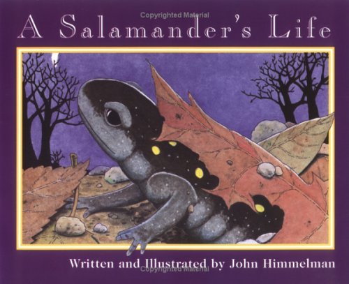 A Salamander's Life (Nature Upclose) by John Himmelman | Goodreads