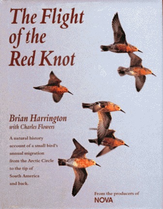 The Flight of the Red Knot: A Natural History Account of a Small Bird's ...