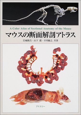 Mouse Anatomy Atlas