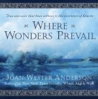 Where Wonders Prevail: True Accounts That Bear Witness to the Existence ...