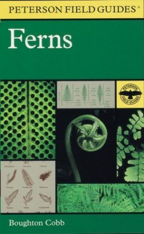 A Field Guide to Ferns and their related families: Northeastern and ...