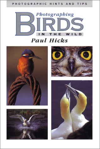 Photographing Birds in the Wild: Photographic Hints and Tips by Paul ...