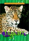 Jaguars (Animals of the Rain Forest) by Pat Lalley | Goodreads