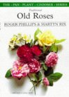 Traditional Old Roses by Roger Phillips | Goodreads