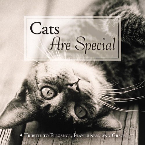 Cats Are Special: A Tribute to Elegance, Playfulness, and Grace by Kira ...