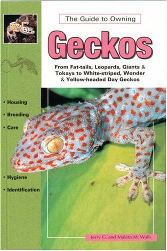 The Guide to Owning Geckos by Jerry G. Walls | Goodreads