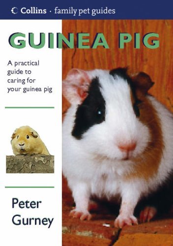 Guinea Pig by Peter Gurney | Goodreads