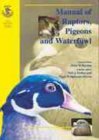 BSAVA Manual of Raptors, Pigeons and Waterfowl by Peter H. Beynon ...