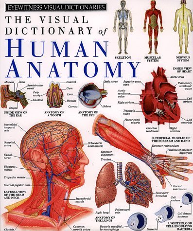 The Visual Dictionary of Human Anatomy by Richard Walker | Goodreads