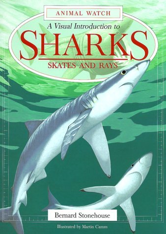 A Visual Introduction to Sharks: Skates and Rays by Bernard Stonehouse ...