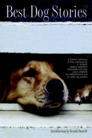 Best Dog Stories by Lesley O'Mara | Goodreads