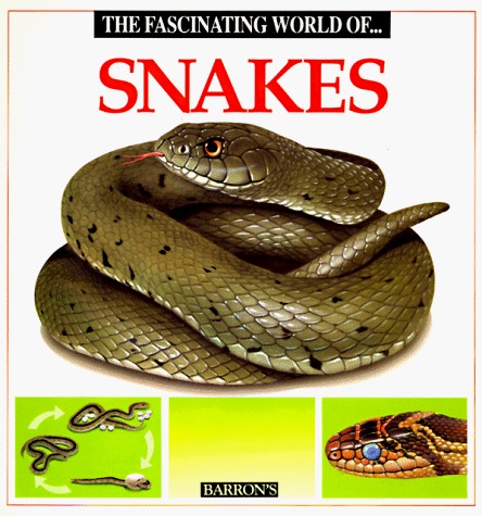 The Fascinating World of Snakes by Maria Ángels Julivert | Goodreads