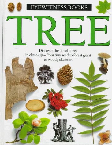 Tree by David Burnie | Goodreads