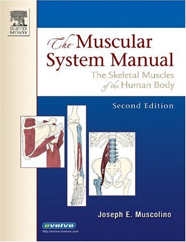 The Muscular System Manual: The Skeletal Muscles of the Human Body, 2nd ...