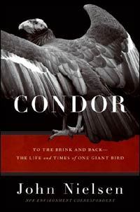 Condor: To the Brink and Back--The Life and Times of One Giant Bird by ...