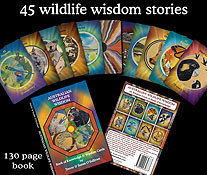 Australian Wildlife Wisdom by Trevor O'Sullivan | Goodreads