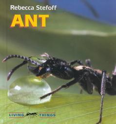 Ant (Living Things) by Rebecca Stefoff | Goodreads