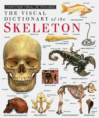 The Visual Dictionary of the Skeleton by Steve Parker | Goodreads