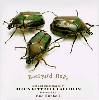 Backyard Bugs by Robin K. Laughlin | Goodreads