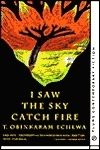 I Saw the Sky Catch Fire by T. Obinkaram Echewa | Goodreads
