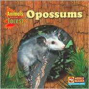 Opossums (Animals That Live in the Forest) by JoAnn Early Macken ...