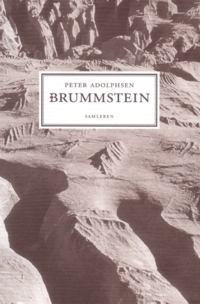 Brummstein by Peter Adolphsen | Goodreads