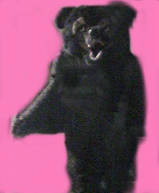 Happy Daze (The Sequel) by Adam J. Maynard | Goodreads