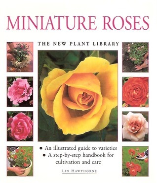 Miniature Roses: An Illustrated Guide to Varieties & a Step-by-Step ...