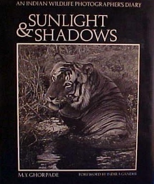Sunlight and Shadows by M.Y. Ghorpade | Goodreads