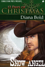 Snow Angel by Diana Bold | Goodreads