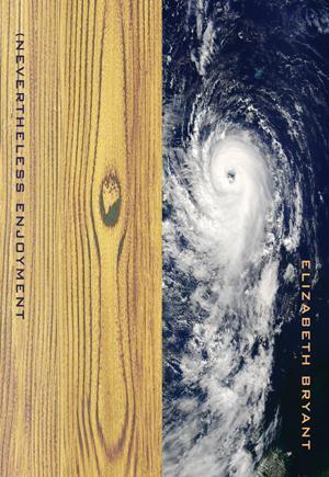 Nevertheless Enjoyment by Elizabeth Bryant | Goodreads