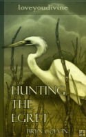 Hunting The Egret by Bryn Colvin | Goodreads