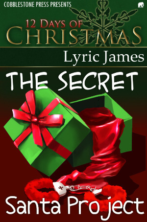 The Secret Santa Project by Lyric James | Goodreads