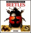 The Fascinating World of Beetles by Ángels Julivert | Goodreads