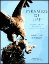Pyramids of Life: Patterns of Life and Death in the Ecosystem by Harvey ...