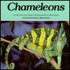 Chameleons (A Carolrhoda Nature Watch Book) by Claudia Schnieper ...