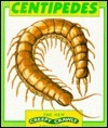 Centipedes (Creepy Crawly Collection) by Graham Coleman | Goodreads