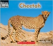 Cheetah by Edana Eckart | Goodreads
