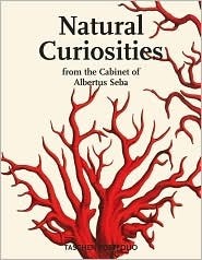 Natural Curiosities 14 Framable Prints From the Cabinet of Albertus ...