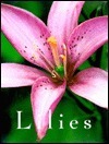 Lilies by Scott D. Appell | Goodreads