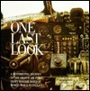 One Last Look: A Sentimental Journey to the Eighth Air Force Heavy ...