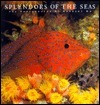 Splendors of the Seas: The Photographs of Norbert Wu by Norbert Wu ...